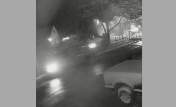 Point Pelee Drive Fire Under Investigation - Kingsville Times