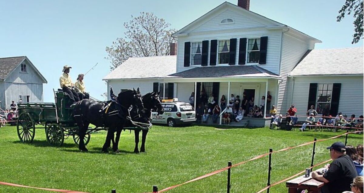 Harvest and Horses Festival Returns to John R. Park - Kingsville Times