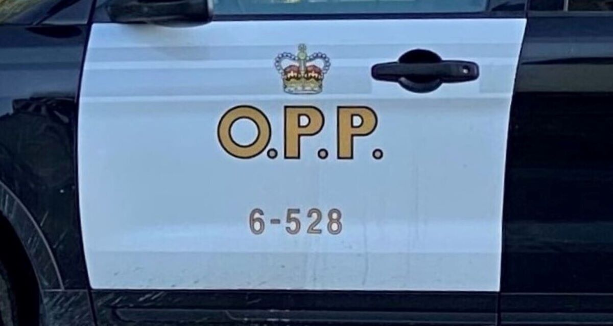 OPP Respond to Standoff on Main Street in Kingsville - Kingsville Times