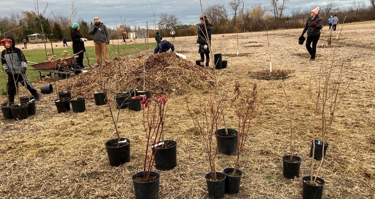 Caldwell First Nation Undertaking Significant Environmental Restoration ...