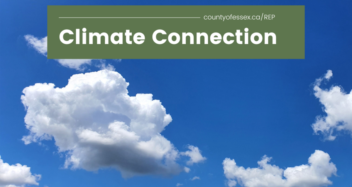 Get Curious about Climate: Read our Newsletter! - Kingsville Times