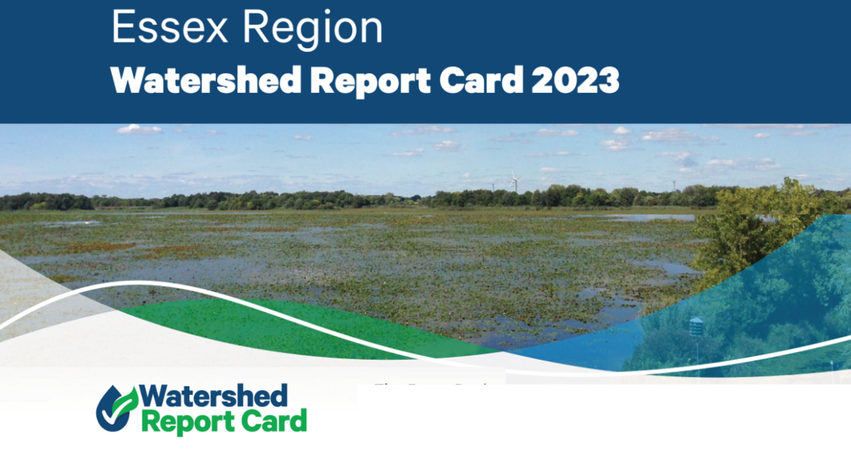 ERCA Releases 2017–2021 Watershed Report Card on World Water Day ...