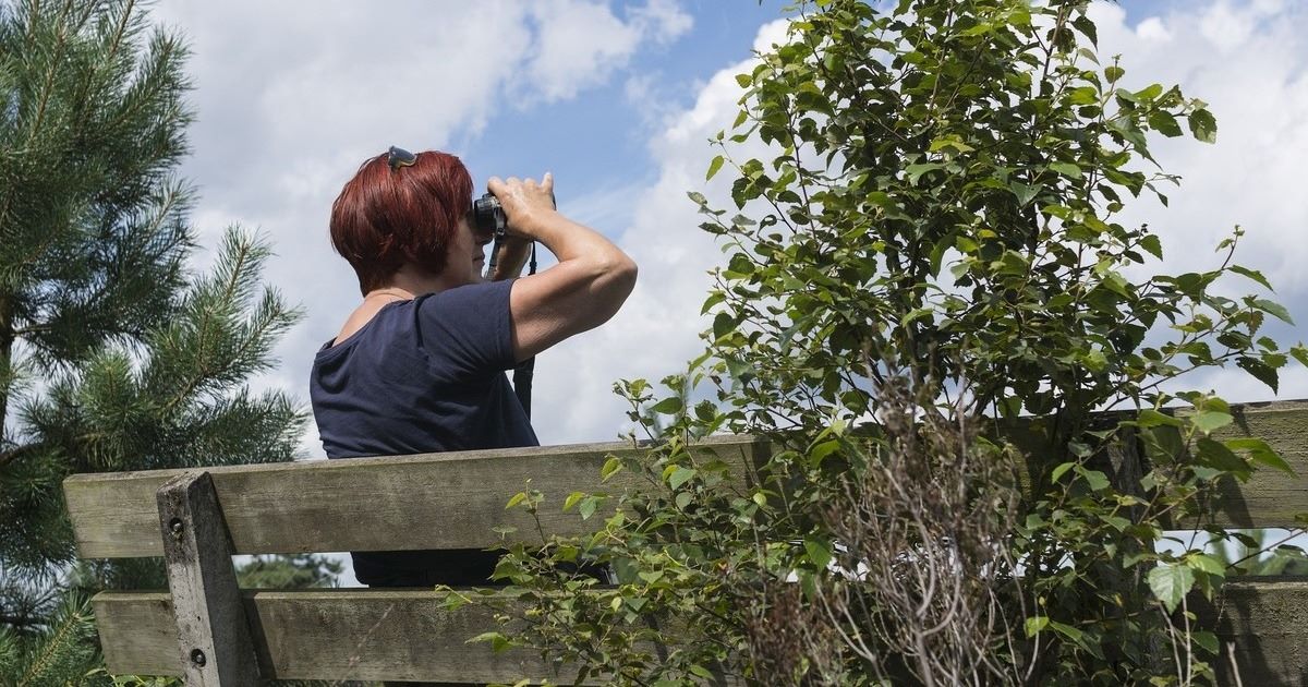 Festival of Birds at Point Pelee National Park May 1-19, 2023 ...