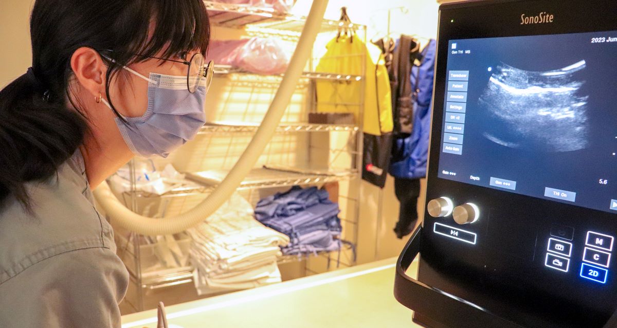 Discovery Week Returns To ESHC With 10 Medical Students Taking Part ...