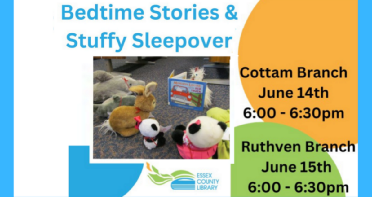 Stories & Stuffy Sleepovers at Cottam and Ruthven Libraries ...