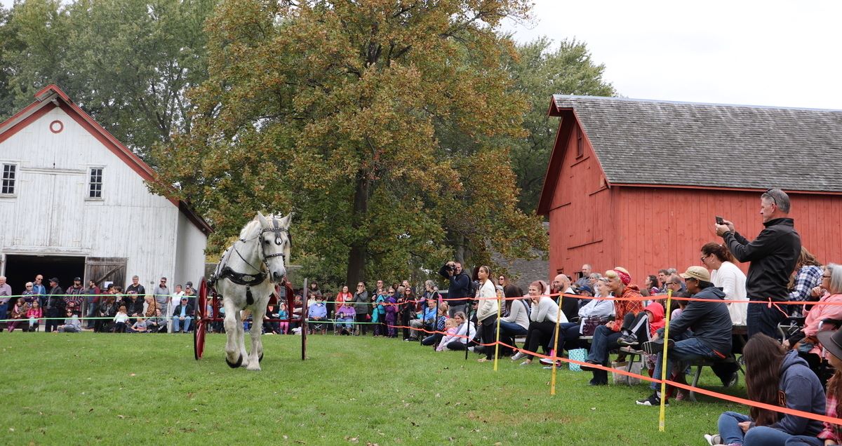 Harvest and Horses Festival at the John R. Park Homestead - Kingsville ...