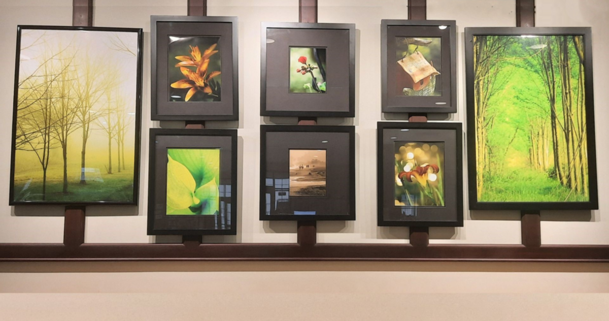 Art on Display for April at Kingsville Library - Kingsville Times