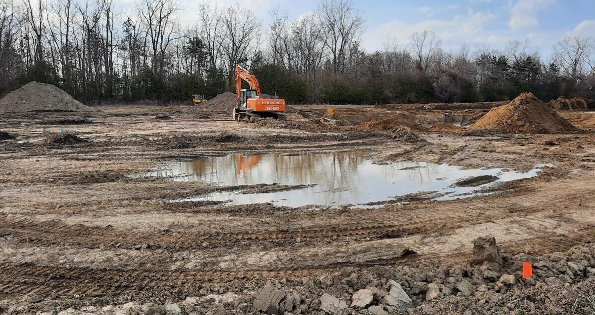 New Habitat Restoration Project for the Birds - Kingsville Times