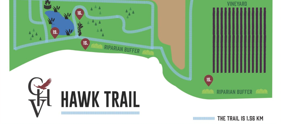 Cooper’s Hawk Vineyards Opens Hawk Trail - Kingsville Times