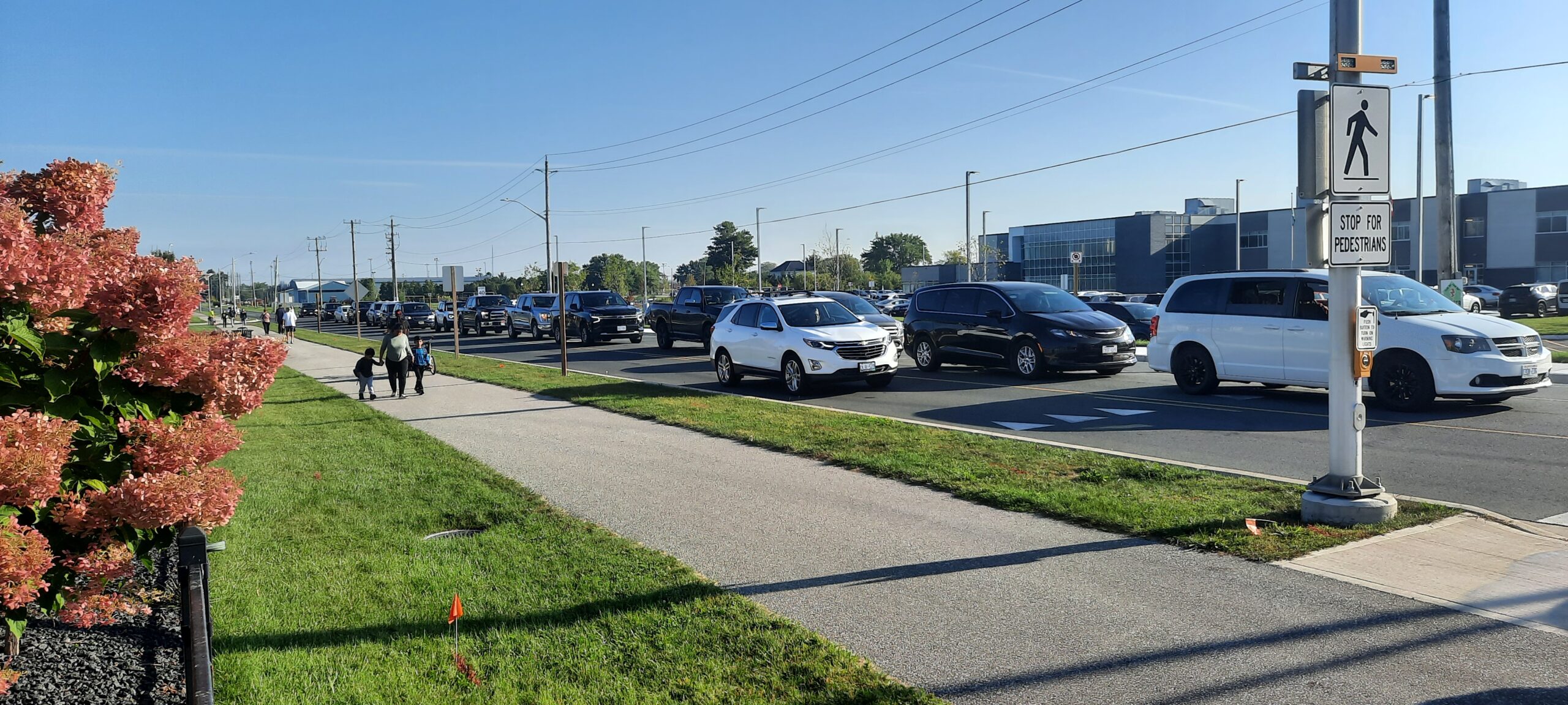 School Bus Cancellations Lead To Traffic Delays - Kingsville Times