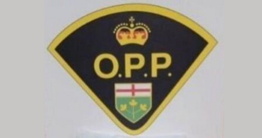 OPP Investigating Home Invasion In Leamington - Kingsville Times