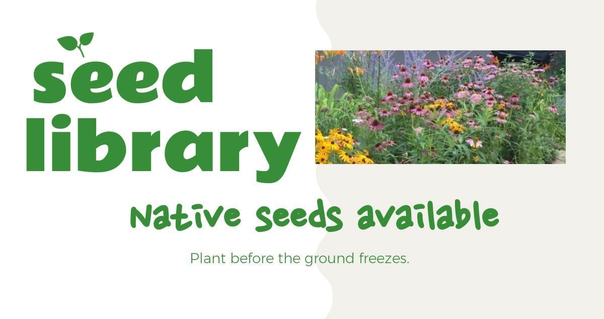 Native Seeds Available at Essex County Library Branches - Kingsville Times