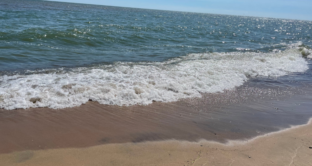 Expect Heavy Equipment at Cedar Beach in January - Kingsville Times