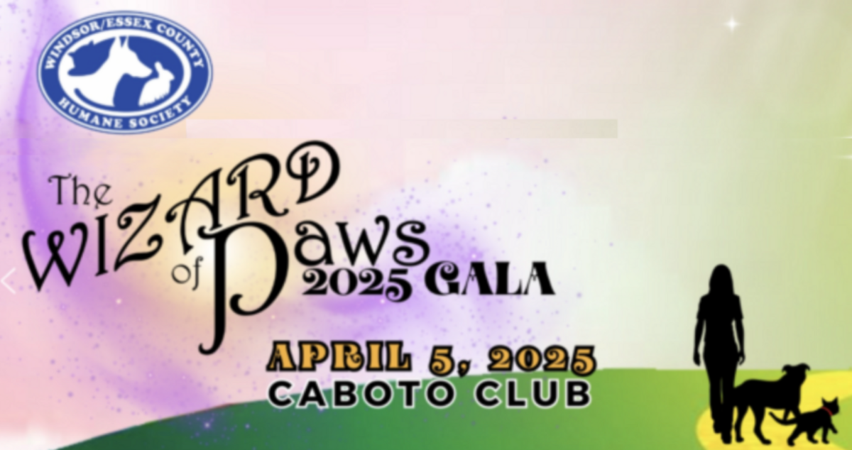 Humane Society Announces Wizard Of Paws Gala on April 5 - Kingsville Times