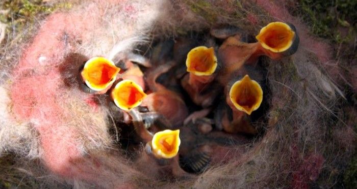 Common Sense Health: Stronger from the Inside Out - Kingsville Times