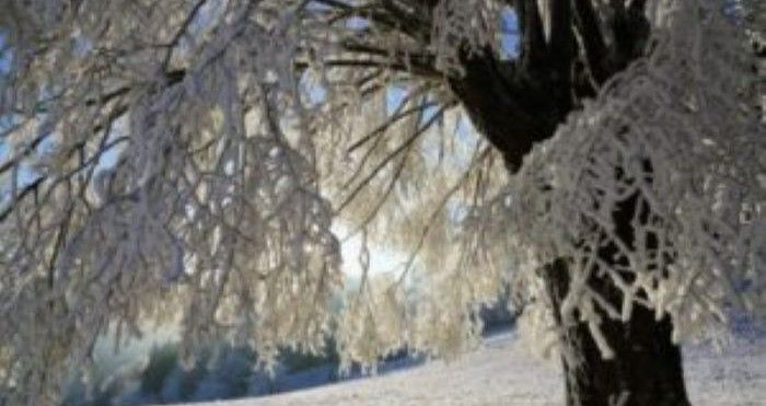 Fire Department Presents Emergency Tips for Severe Winter Weather ...